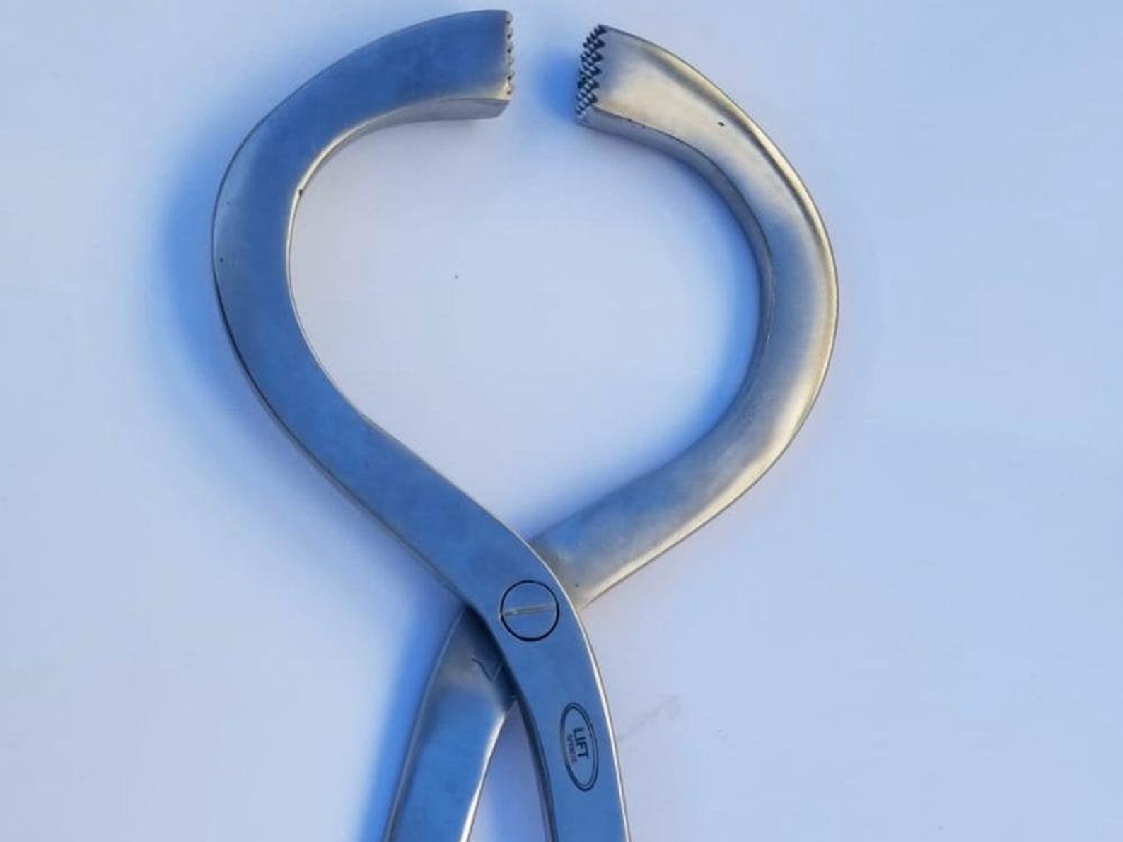 Hoof Tester Flat Model 13 Stainless Steel Equine Heavy - Etsy