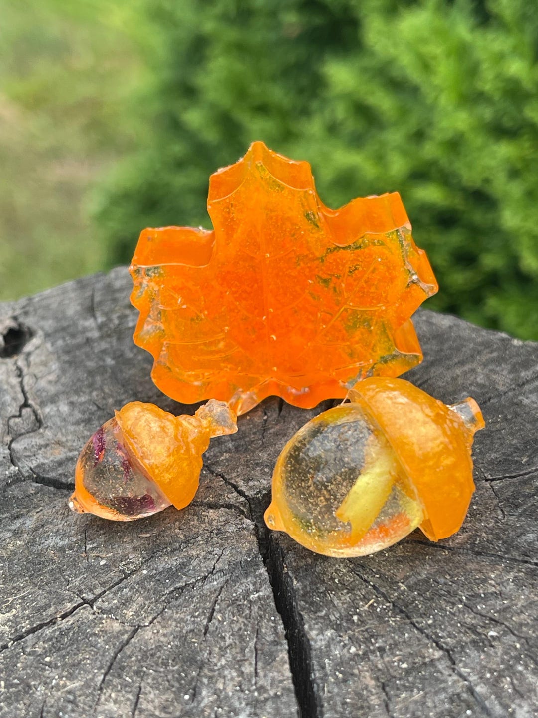 Maple Leaf and Acorns • Decoration - Etsy