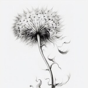 Whispers of Life - Dandelion Black and White Sketch #3 Digital Print - Etsy