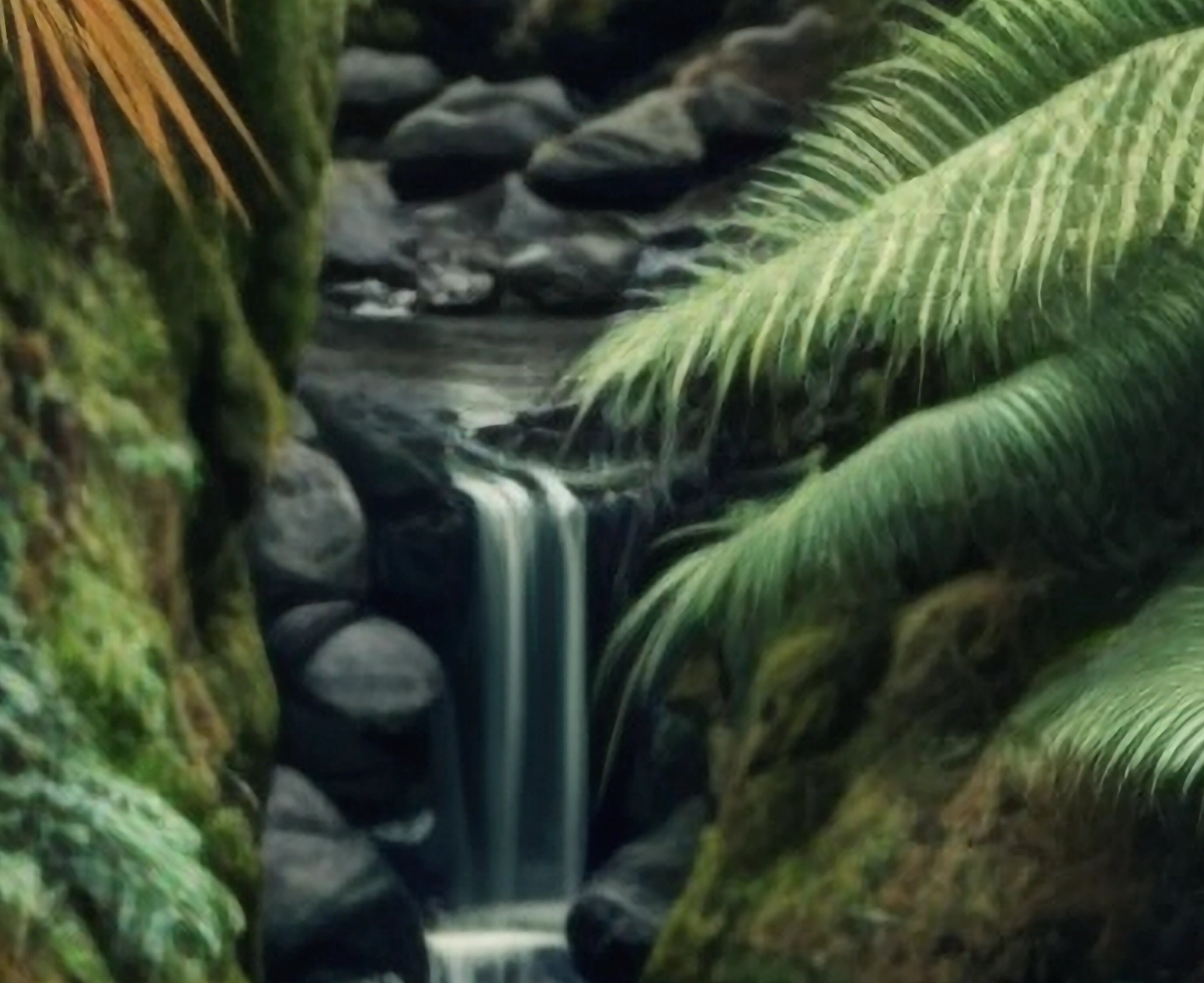 Australian Rainforest Landscape #3 Digital Print - Etsy