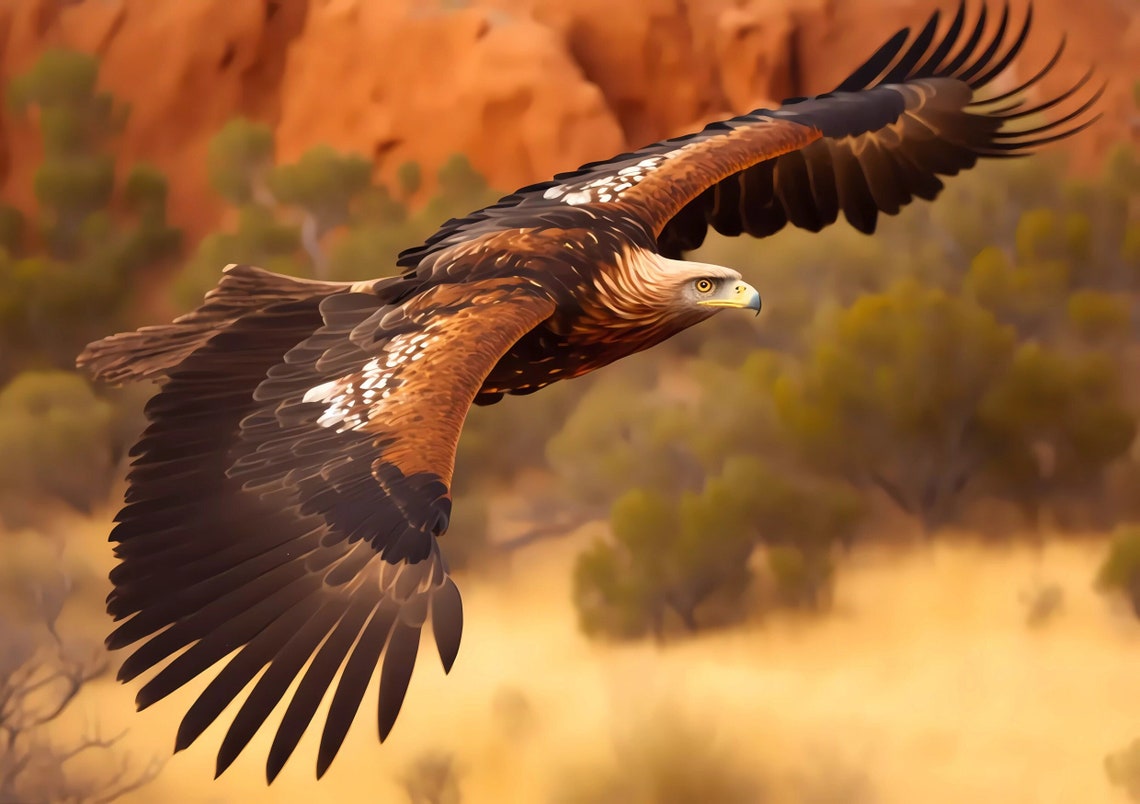 Majestic Wedge Tail Eagle Soaring 1 Digital Print - Etsy