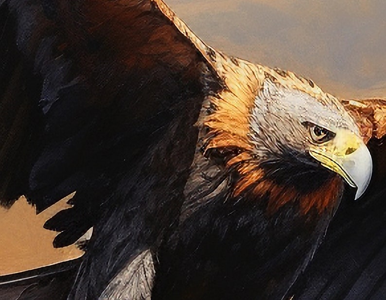 Majestic Wedge Tail Eagle Soaring #4 Digital Print - Etsy