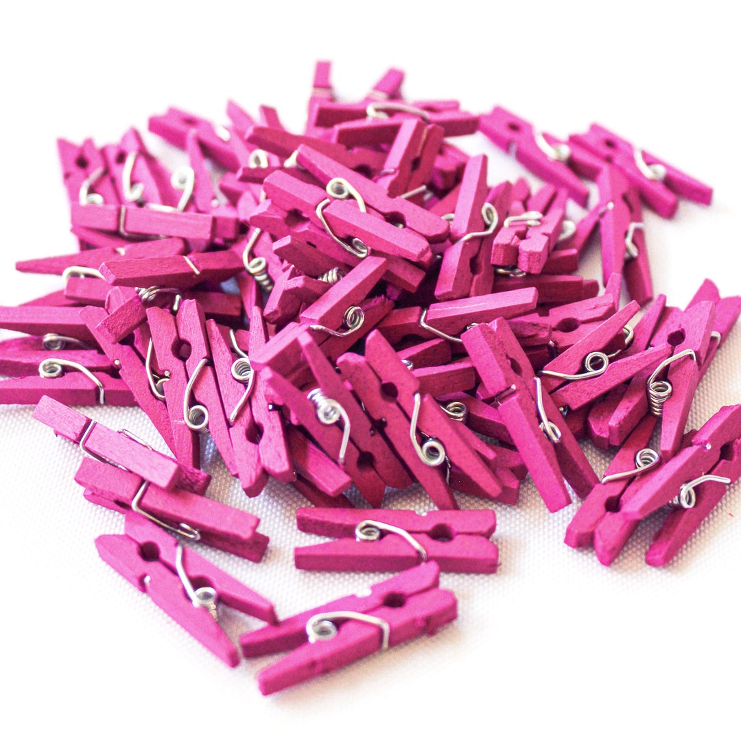 Mini Clothespins/mini Clothing Pins/pink Clothespins/1” Clothing Pins/1 ...