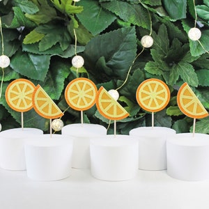 Orange Cupcake Toppers/orange Cupcake Topper/tutti Frutti Cupcake ...