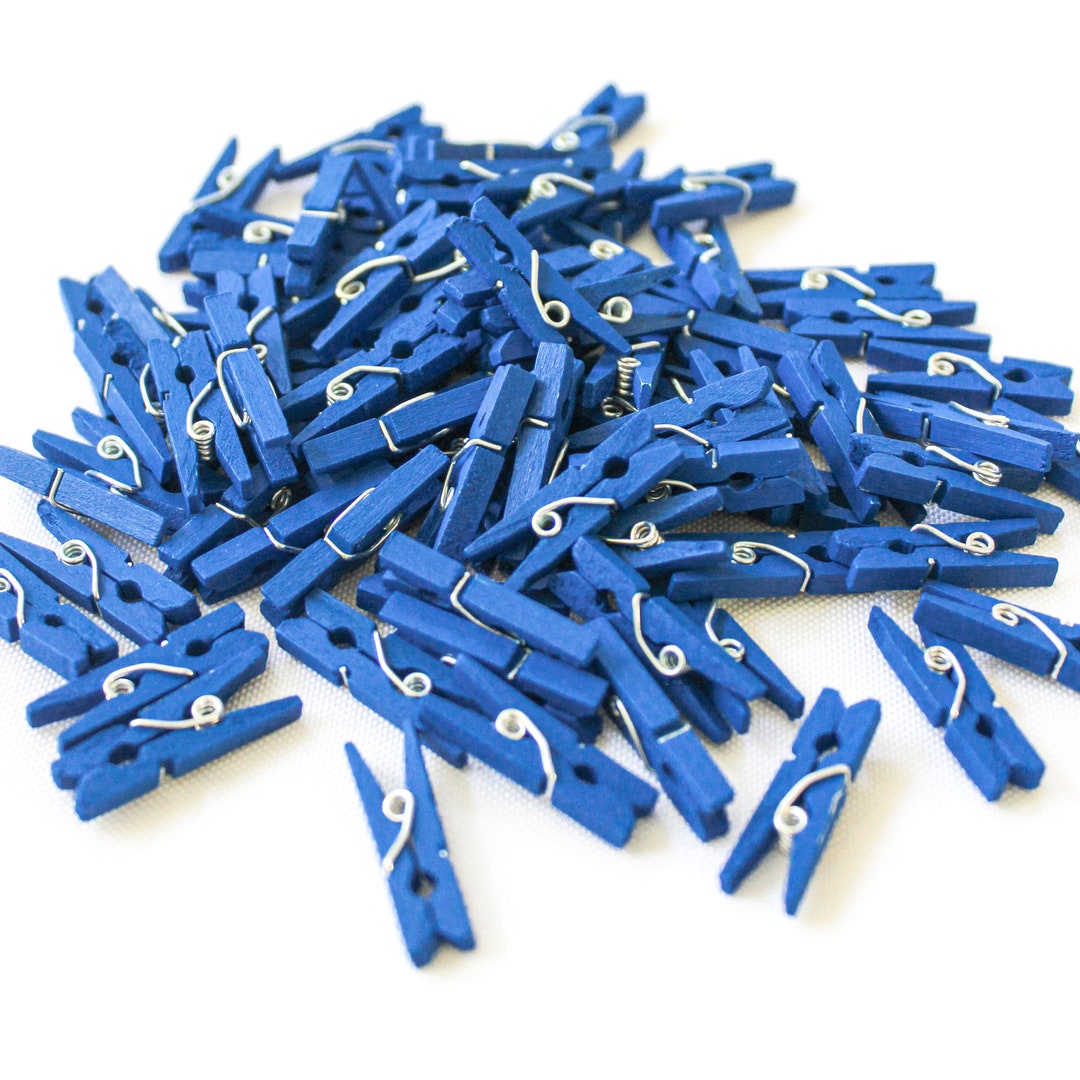Mini Clothespins/mini Clothing Pins/blue Clothespins/1” Clothing Pins/1 ...
