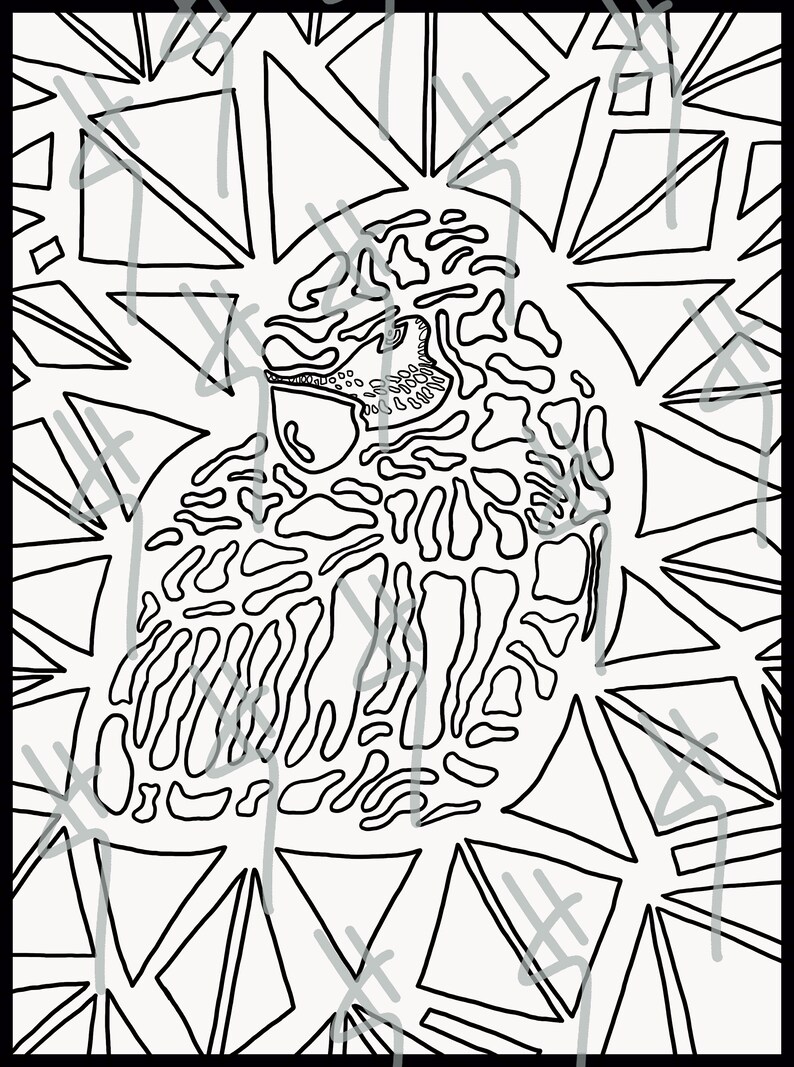 PRINTABLE, Downloadable Animal Coloring Pages (3) - Etsy