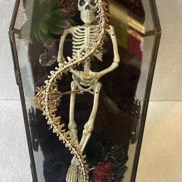 Spooky Terrarium - Etsy