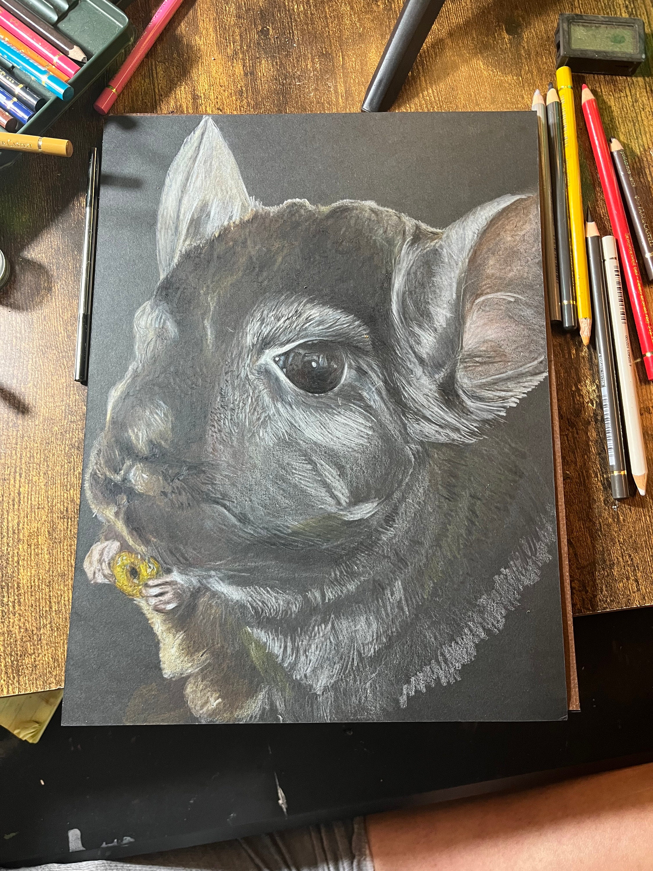 Hand Drawn Personalized Animal Portrait - Etsy