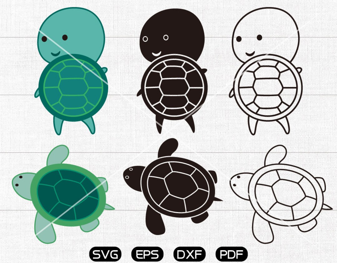 Tortoise Svg Turtle Clipart Zoo Animal Svg Cricut Cameo - Etsy