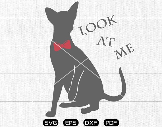 Cat SVG Files Bow Kitty Clipart Cricut Cameo Silhouette - Etsy