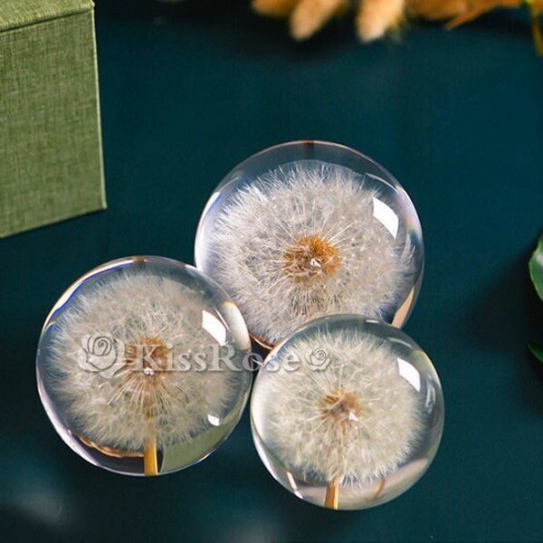 Dandelion Sphere - Etsy