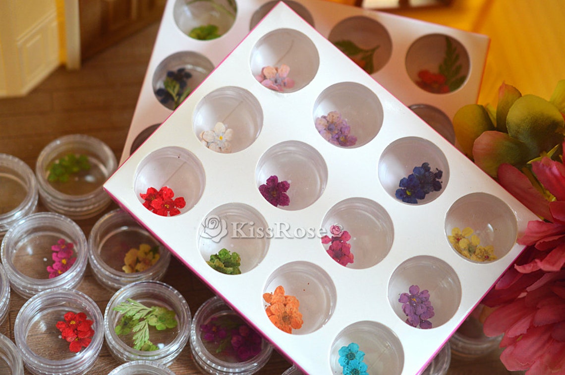 2 styles Mini Dried Flowers for resin craft DIY-Silicone mold | Etsy