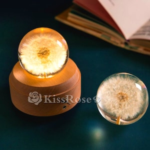 High Transparent Silicone Sphere Mold-9 Sizes Sphere Resin Molds-round ...