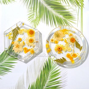 Hexagon Silicone Tray Mold-round Plate Resin Molds-silicone - Etsy