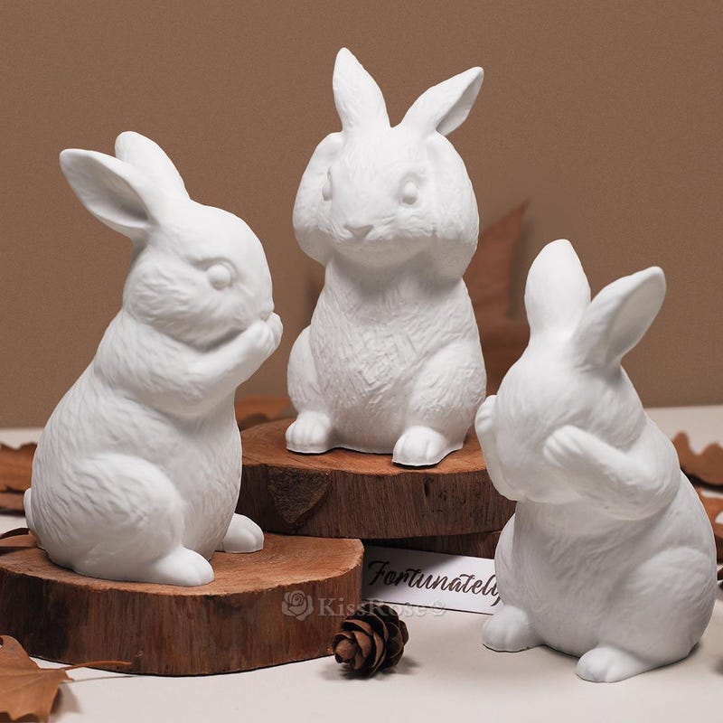 3d Silicone Rabbit Mold - Etsy