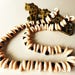 Cowrie Shells Long Necklace. Wooden Black Beads. Voodoo Santeria Magic ...