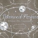 30 Real Diamond Frames Clip Arts 300 Dpi PNG Transparent Instant ...
