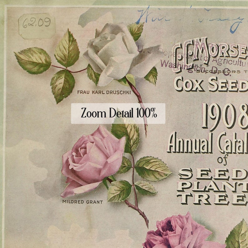 16 Antique Rose Garden Digital Paper 8.5x11 Instant - Etsy