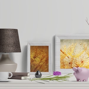 16 Antique Gorgeous Dandelion Seeds Digital Papers 12x12" 300 Dpi ...