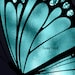 30 Teal Glitter Foil Butterfly Digital Images 300 Dpi Instant Download ...