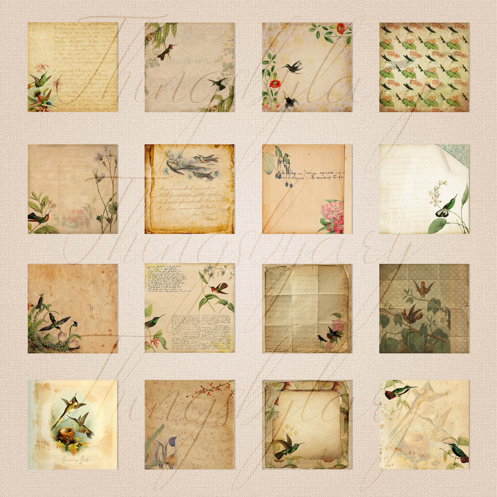 16 Antique Humming Birds Digital Papers 12" 300 Dpi Commercial Use ...