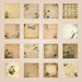 16 Antique Humming Birds Digital Papers 12" 300 Dpi Commercial Use ...