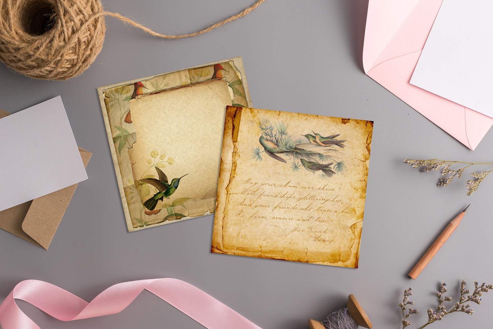 16 Antique Humming Birds Digital Papers 12" 300 Dpi Commercial Use ...