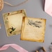 16 Antique Humming Birds Digital Papers 12 300 Dpi Commercial Use ...