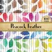 100 Seamless Peacock Feather Digital Papers,peacock Digital Paper ...