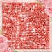 42 Living Coral Glitter Digital Papers 12 Inch 300 Dpi Planner Paper ...