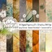 16 Antique Gorgeous Dandelion Seeds Digital Papers 12x12 300 Dpi ...