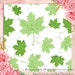 100 Seamless Color Autumn Leaf Digital Papers 12 Inch 300 Dpi - Etsy