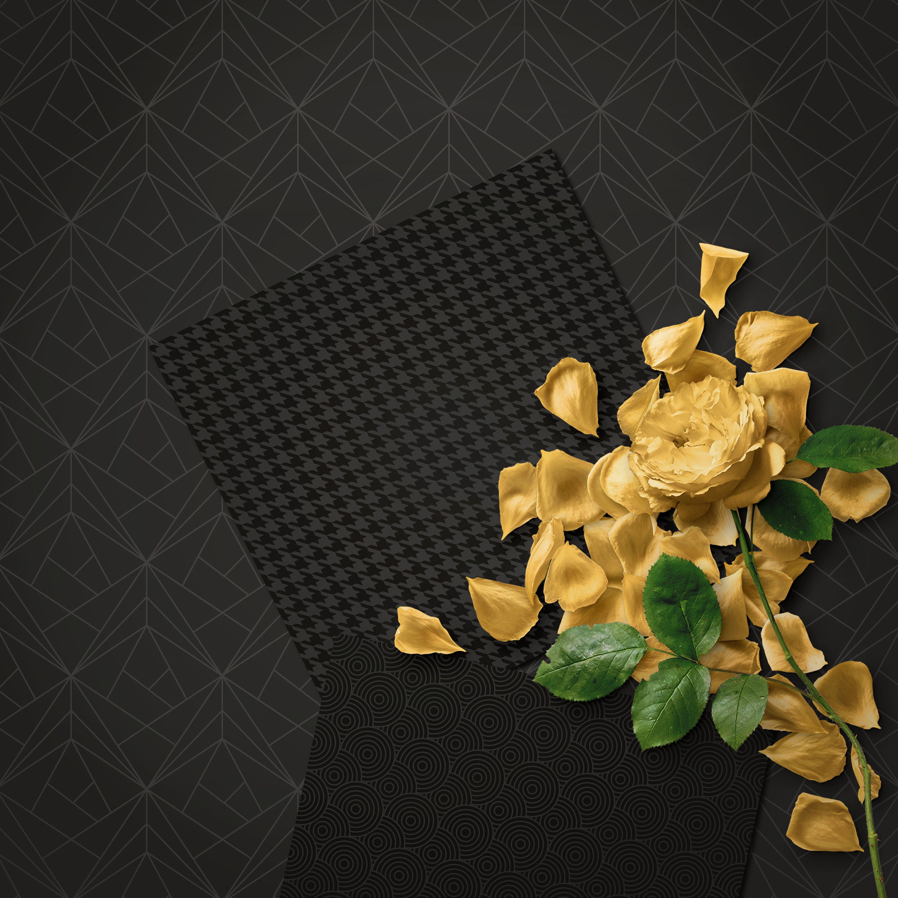 16 Seamless Luxury Black Digital Papers 300 Dpi Commercial Use Black ...