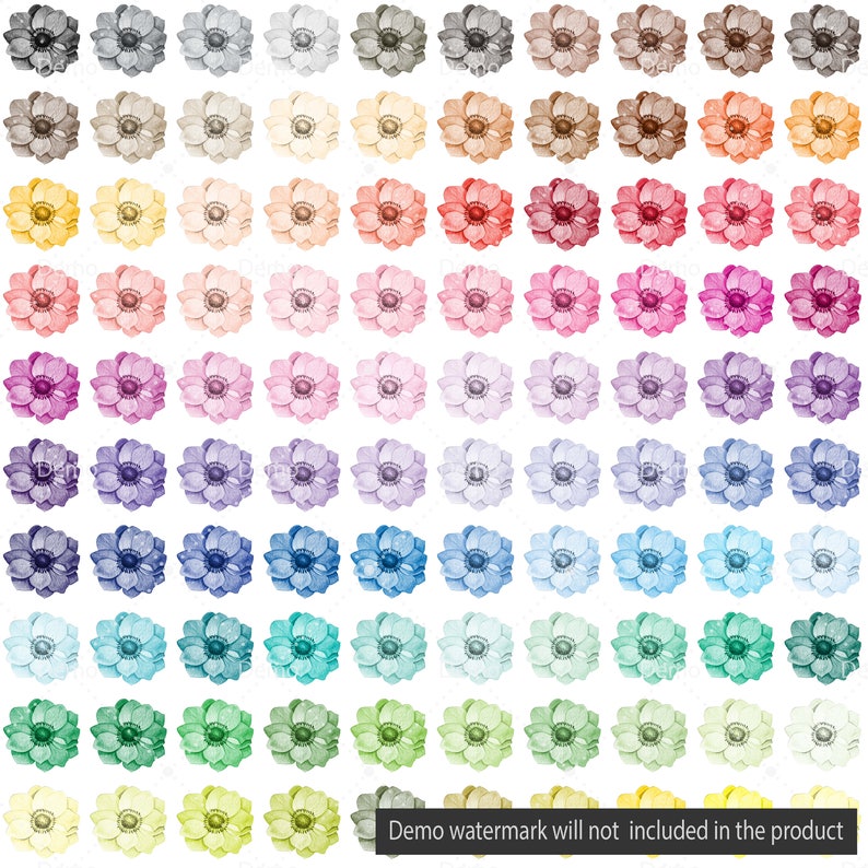 100 Watercolor Anemone Flower Clipart,flower Clipart,100 Watercolor ...