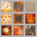 18 Fall Leaf Digital Papers 300 Dpi Instant Download Commercial Use ...