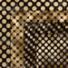 16 Luxury Black and Gold Polka Dot Digital Papers, Commercial Use ...