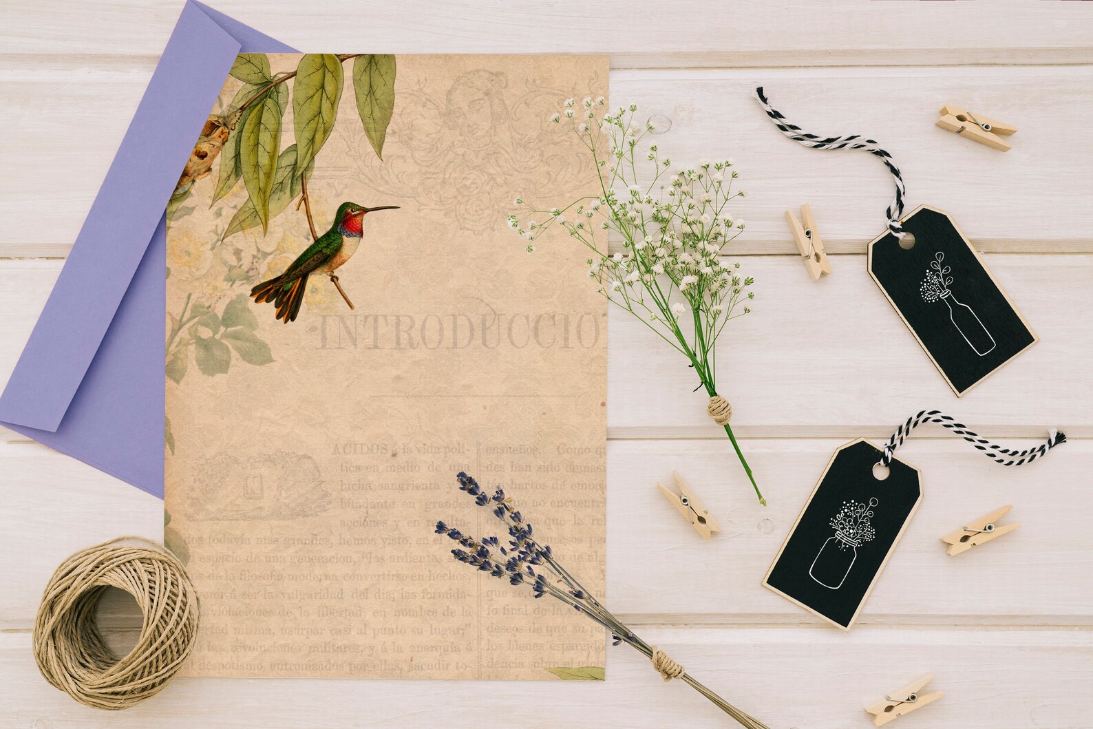 16 Antique Humming Birds Digital Papers 12 300 Dpi - Etsy