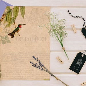 16 Antique Humming Birds Digital Papers 12" 300 Dpi Commercial Use ...