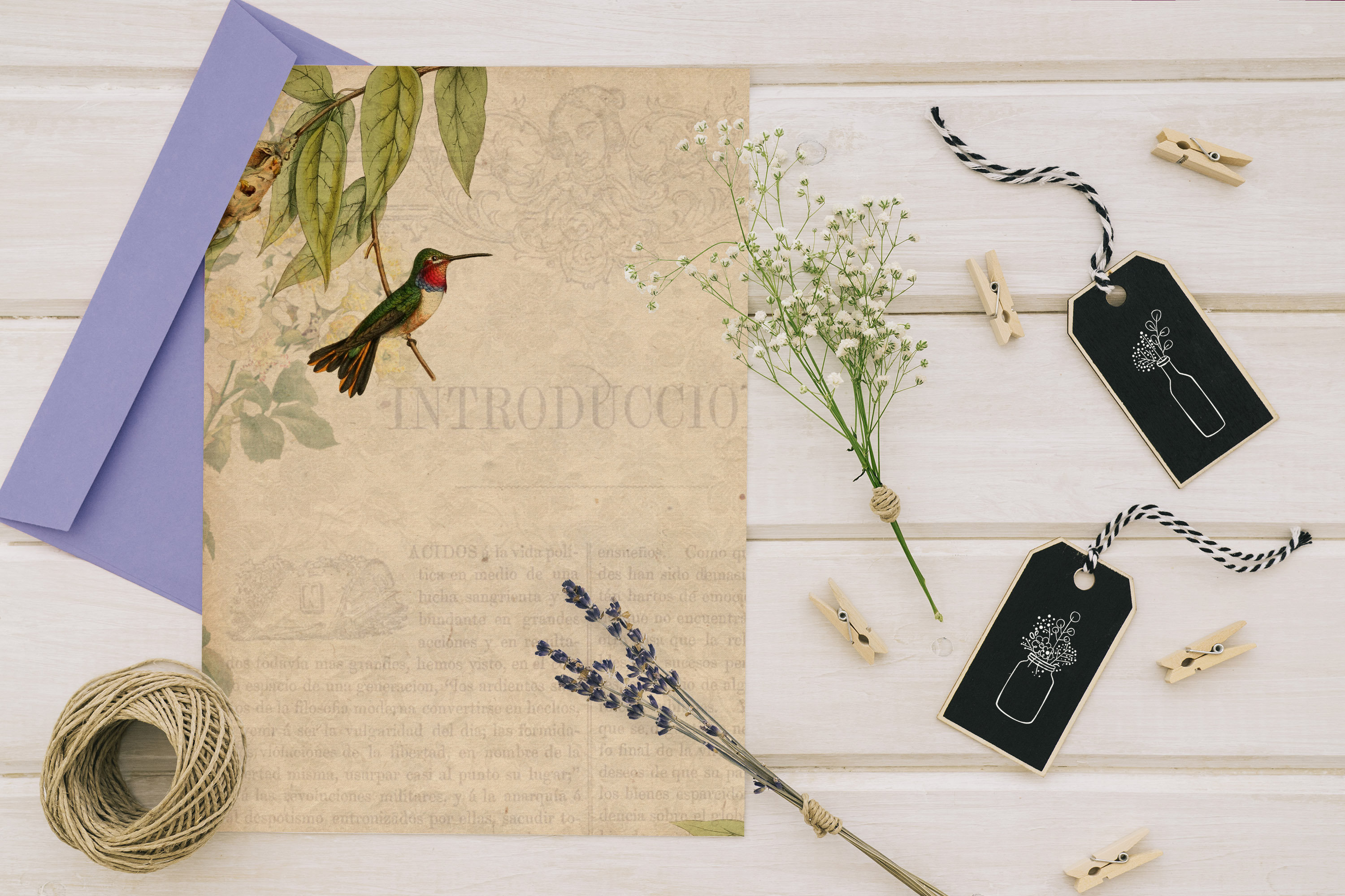 16 Antique Humming Birds Digital Papers 12 300 Dpi - Etsy