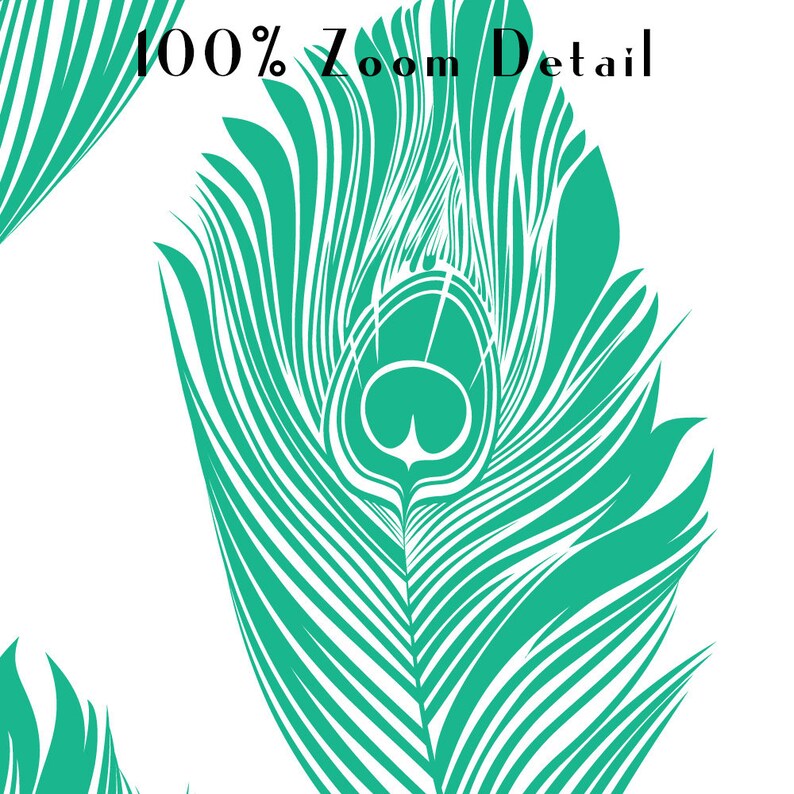100 Seamless Peacock Feather Digital Papers,peacock Digital Paper ...