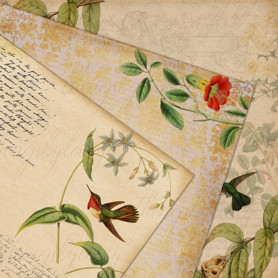 16 Antique Humming Birds Digital Papers 8.5x11 300 Dpi Commercial Use ...