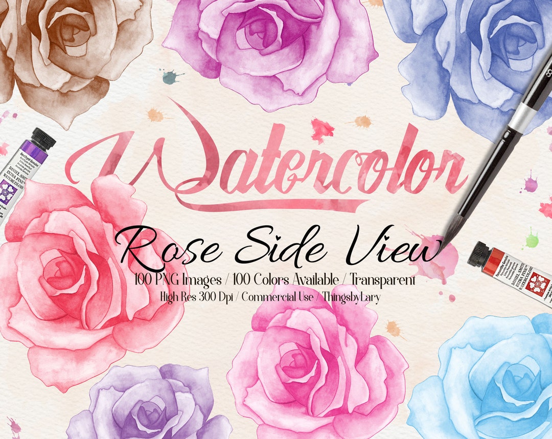 100 Hand Painted Watercolor Rose Flower Clip Arts Side View 300 Dpi ...