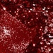 20 Luxury Shimmer Maroon Sequin Digital Papers Commercial Use Holiday ...