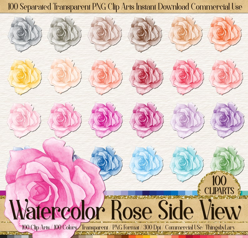 100 Hand Painted Watercolor Rose Flower Clip Arts Side View - Etsy