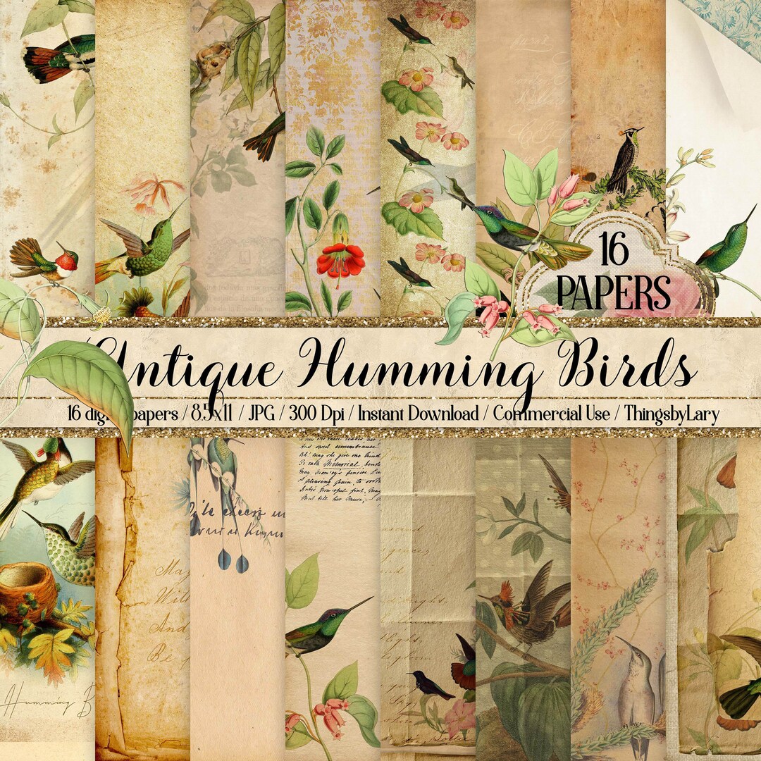 16 Antique Humming Birds Digital Papers 8.5x11 300 Dpi Commercial Use ...