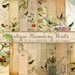 16 Antique Humming Birds Digital Papers 8.5x11 300 Dpi Commercial Use ...