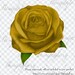 100 Luxury Rose Cliparts, Fashion Cliparts 300 Dpi Instant Download ...