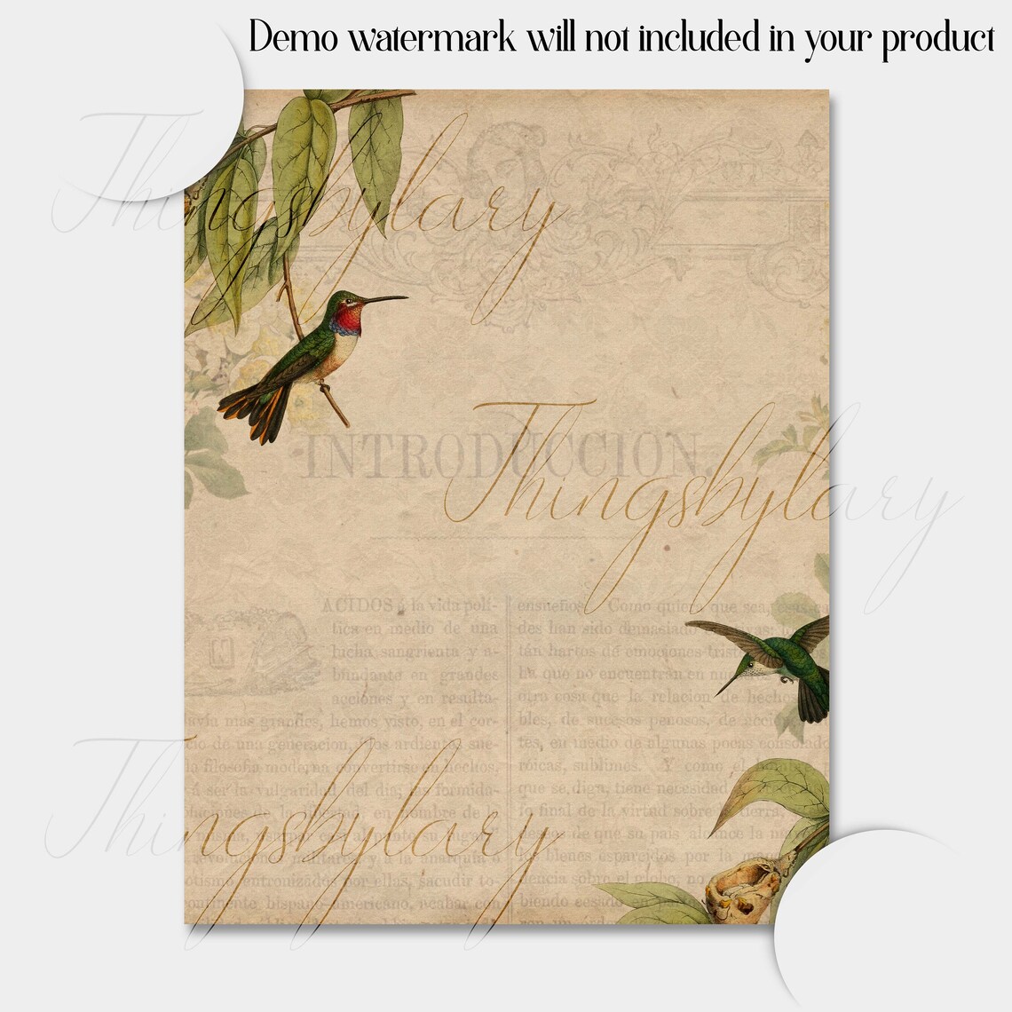 16 Antique Humming Birds Digital Papers 8.5x11 300 Dpi - Etsy