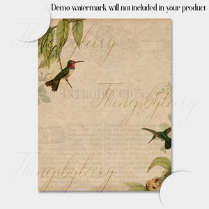 16 Antique Humming Birds Digital Papers 8.5x11 300 Dpi Commercial Use ...