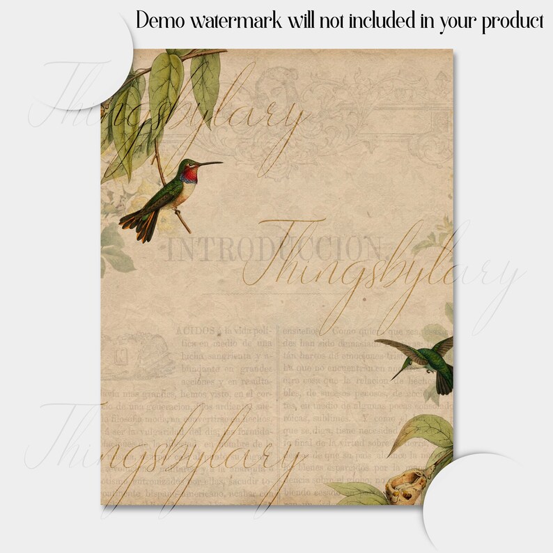 16 Antique Humming Birds Digital Papers 8.5x11 300 Dpi - Etsy